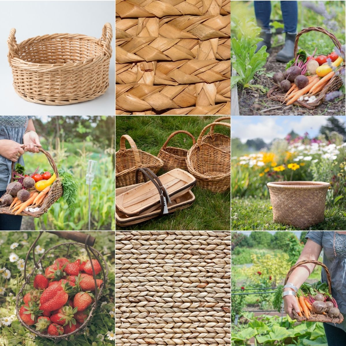 Choosing the Best Tools for the Garden: The Importance of a good ...
