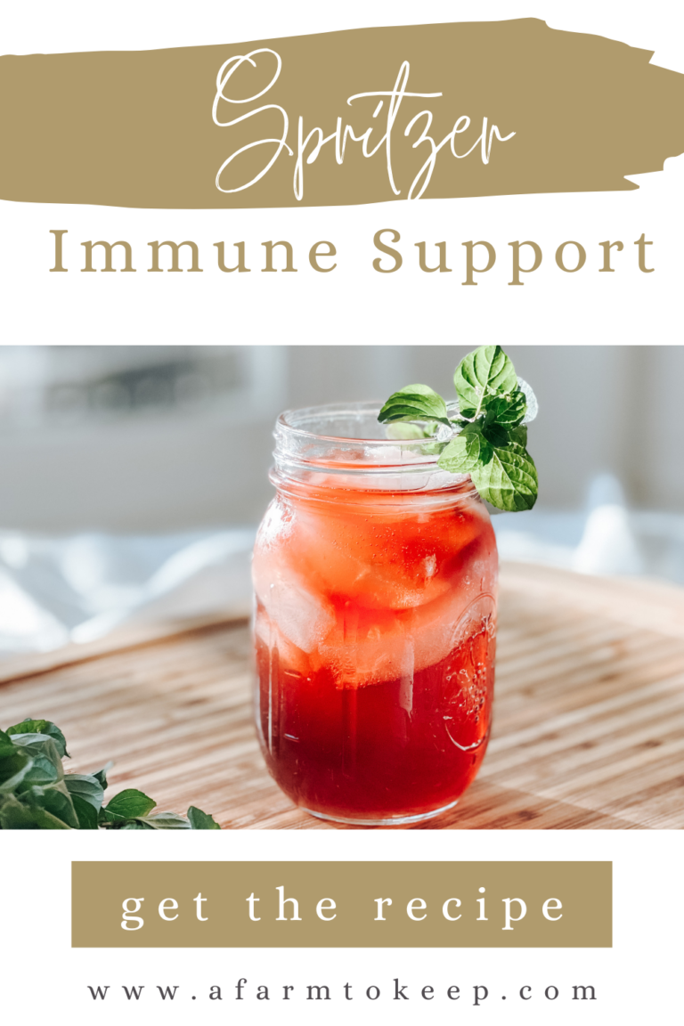 How to Make Non-Alcoholic Immune Support Spritzer With Elderberry Syrup ...