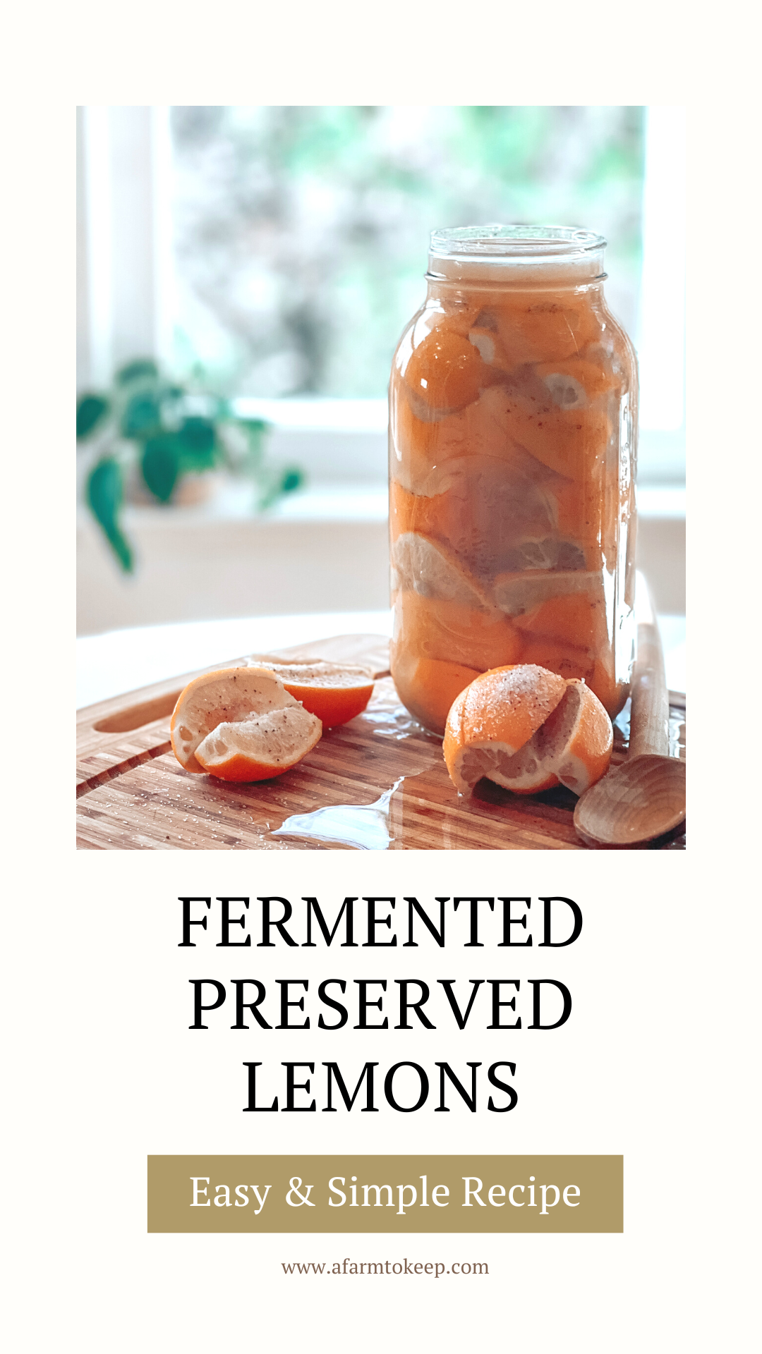 Easy Fermented Preserved Lemons: How to Preserve Lemons with Salt - A ...