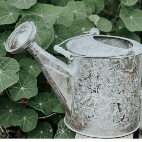 Essential Gardening Tools for Beginners - A Farm to Keep
