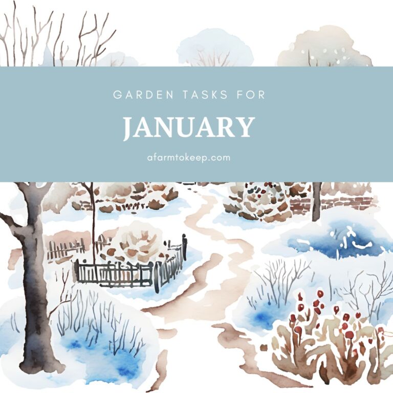 Get a Head Start: January Garden Tasks - A Farm to Keep