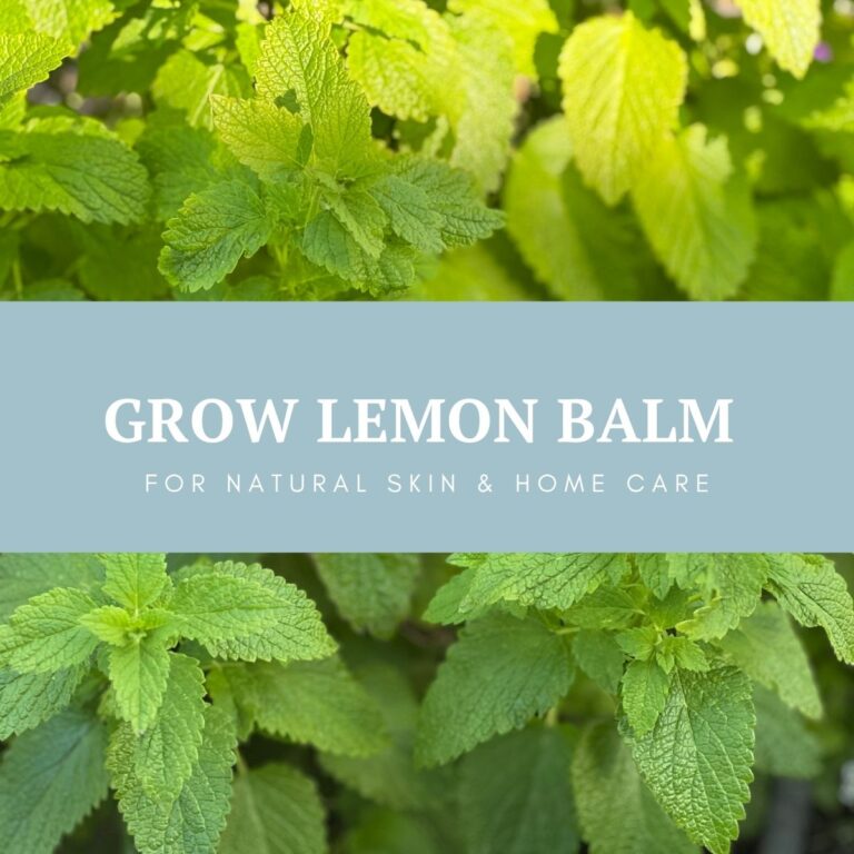 Growing Lemon Balm for Natural Skin and Home Care - A Farm to Keep